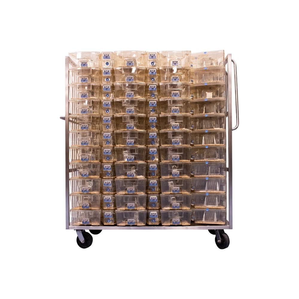 Bulk Transport Truck | Lighthouse Distributor Services