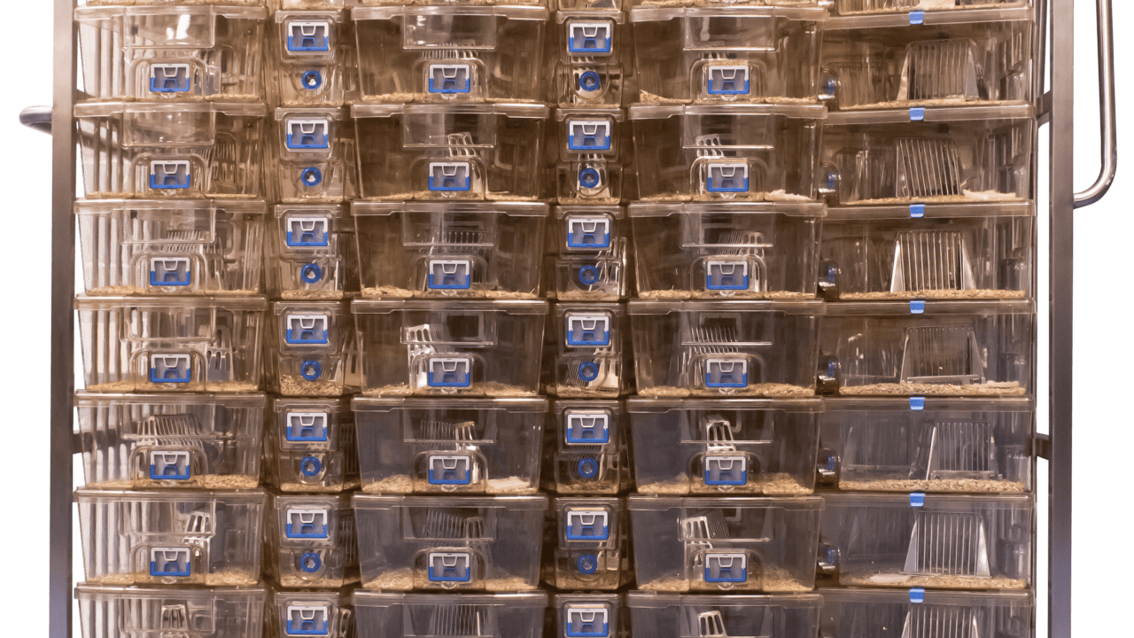 Bulk Transport Truck | Lighthouse Distributor Services